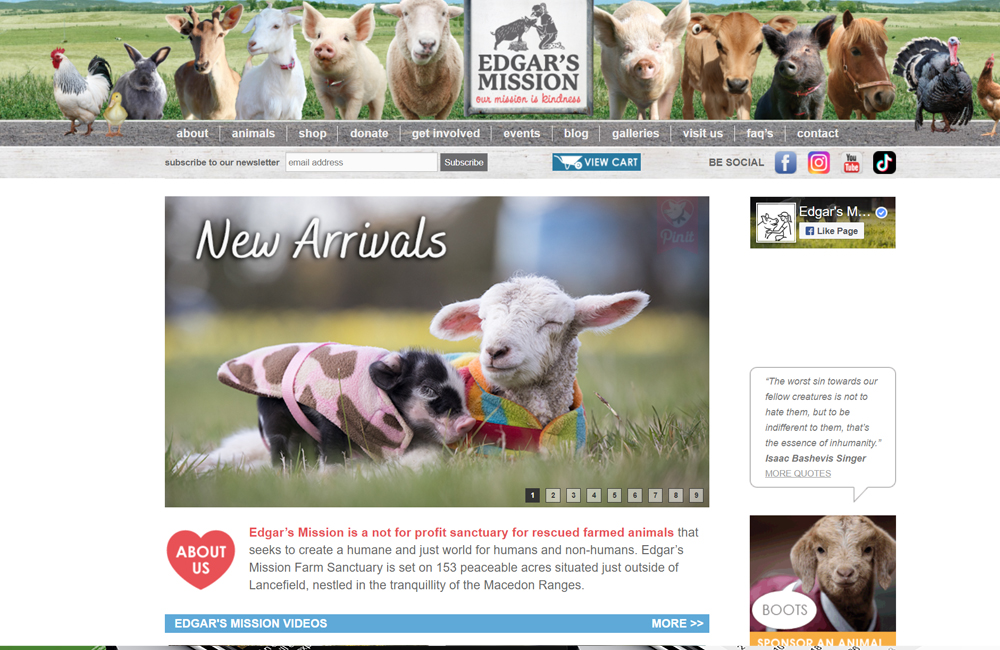 Chester Galam | Edgar's Farm